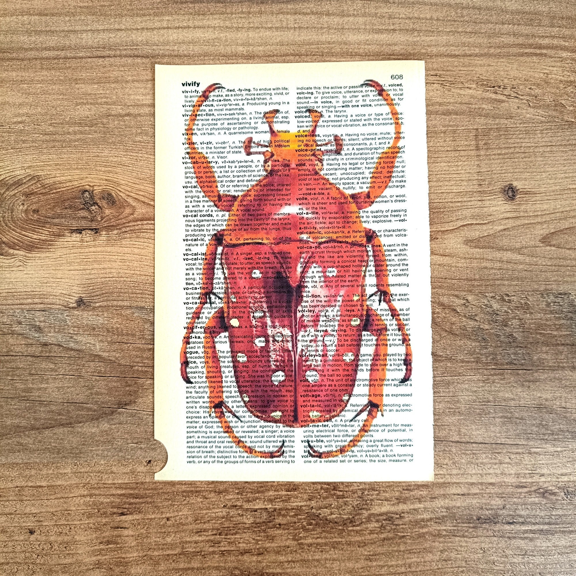 Bugs Prints on Antique Book Page, Set of 7 Insect Art Print on Old ...