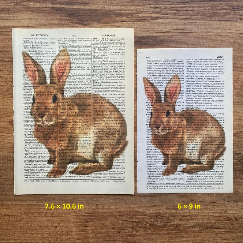 Bunny Prints, Old Dictionary Page, Rabbit Lover Gift, Rabbit Dictionary ...