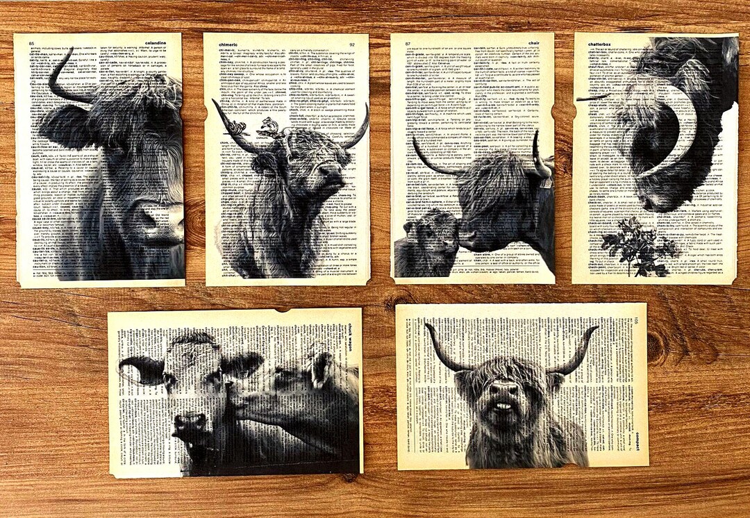 Highland Cow Poster Print Set of 6 on Old Dictionary Pages, Black and ...