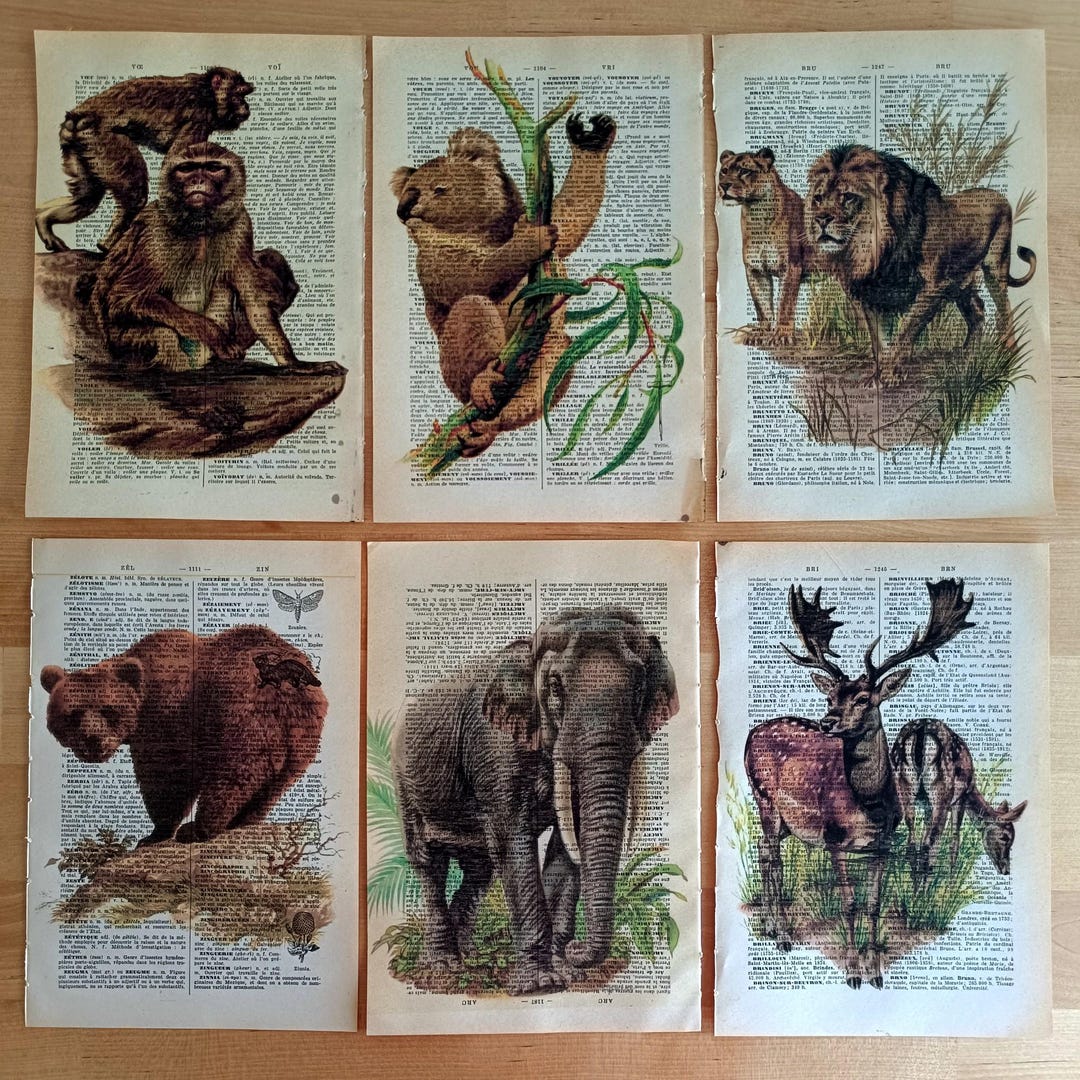 Vintage Safari Animal Dictionary Prints - Set of 6 - African Wildlife ...