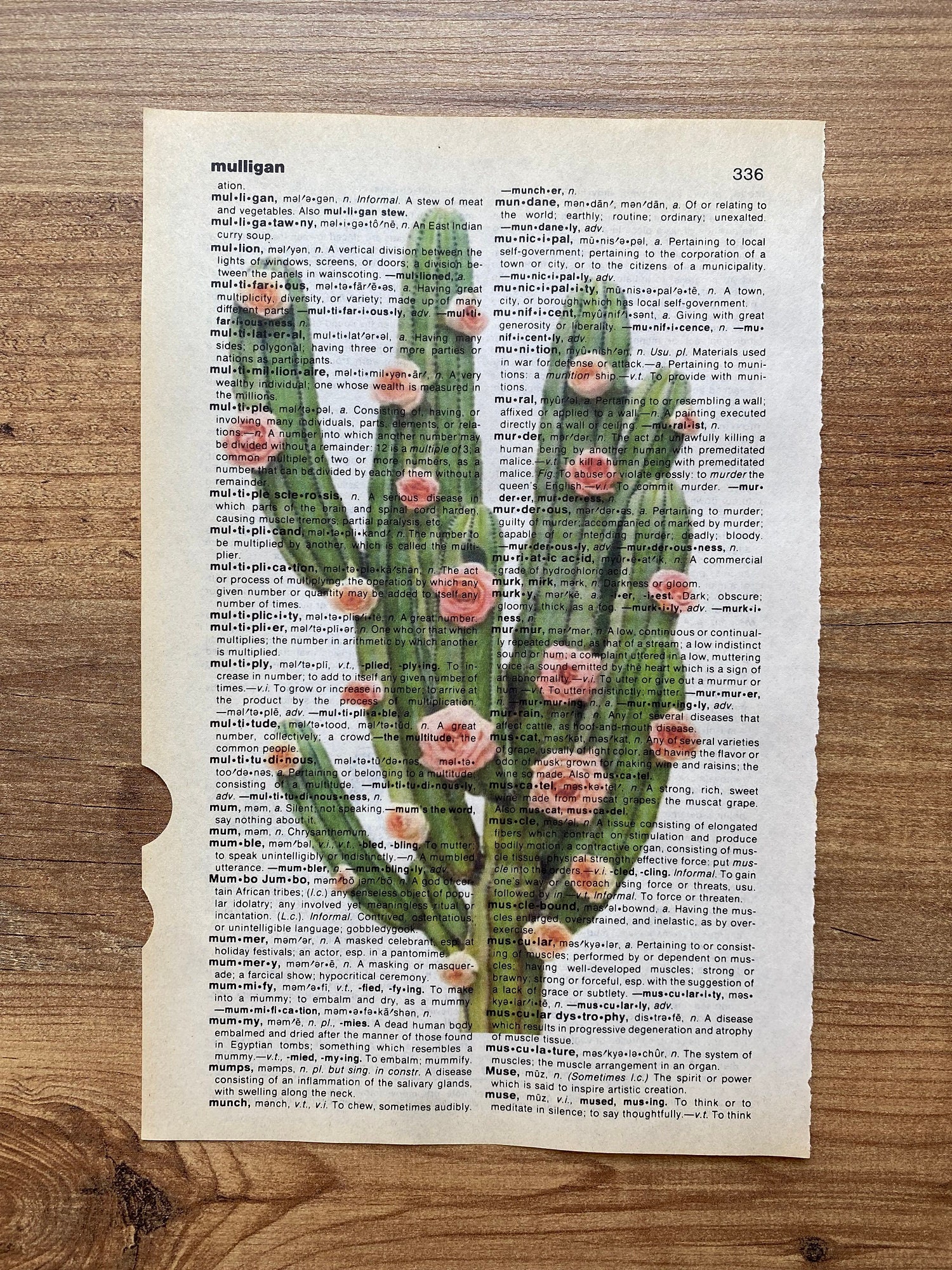 Set of 5 Cactus Art Prints on Old Dictionary Page, Cactus Theme on Book ...
