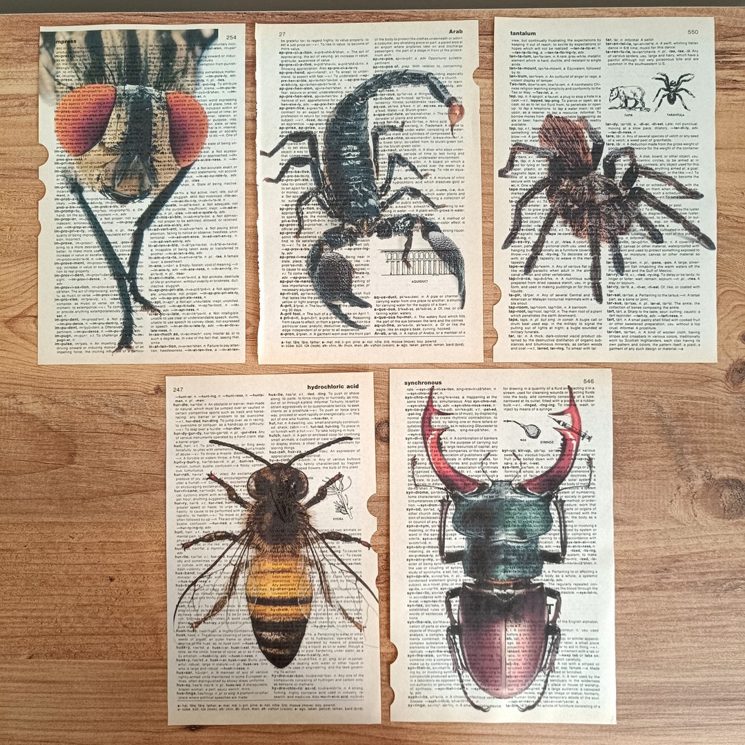 Insect Art, Dictionary Print, Eclectic Wall Art, Bee Print, Scorpion ...
