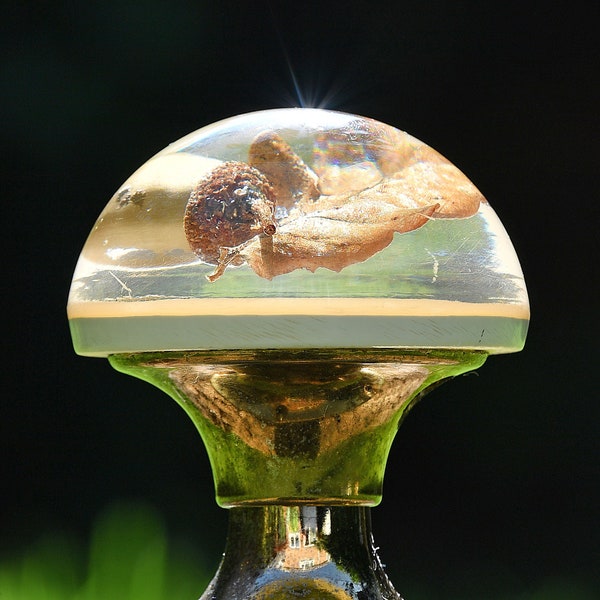 Unique Door Knobs - Etsy