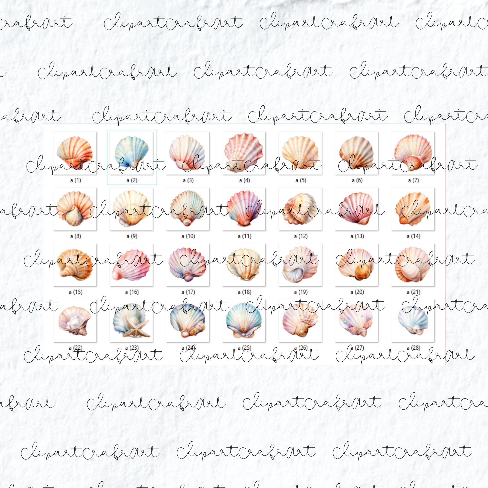 Sea Shell Clipart, Sea Shell Clipart Pearl Clipart, Sea Shell Nautical ...