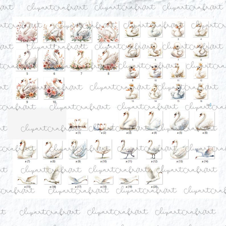 Swan Clipart, Baby Swan Clipart, Floral Swan Clipart, Birthday Baby ...