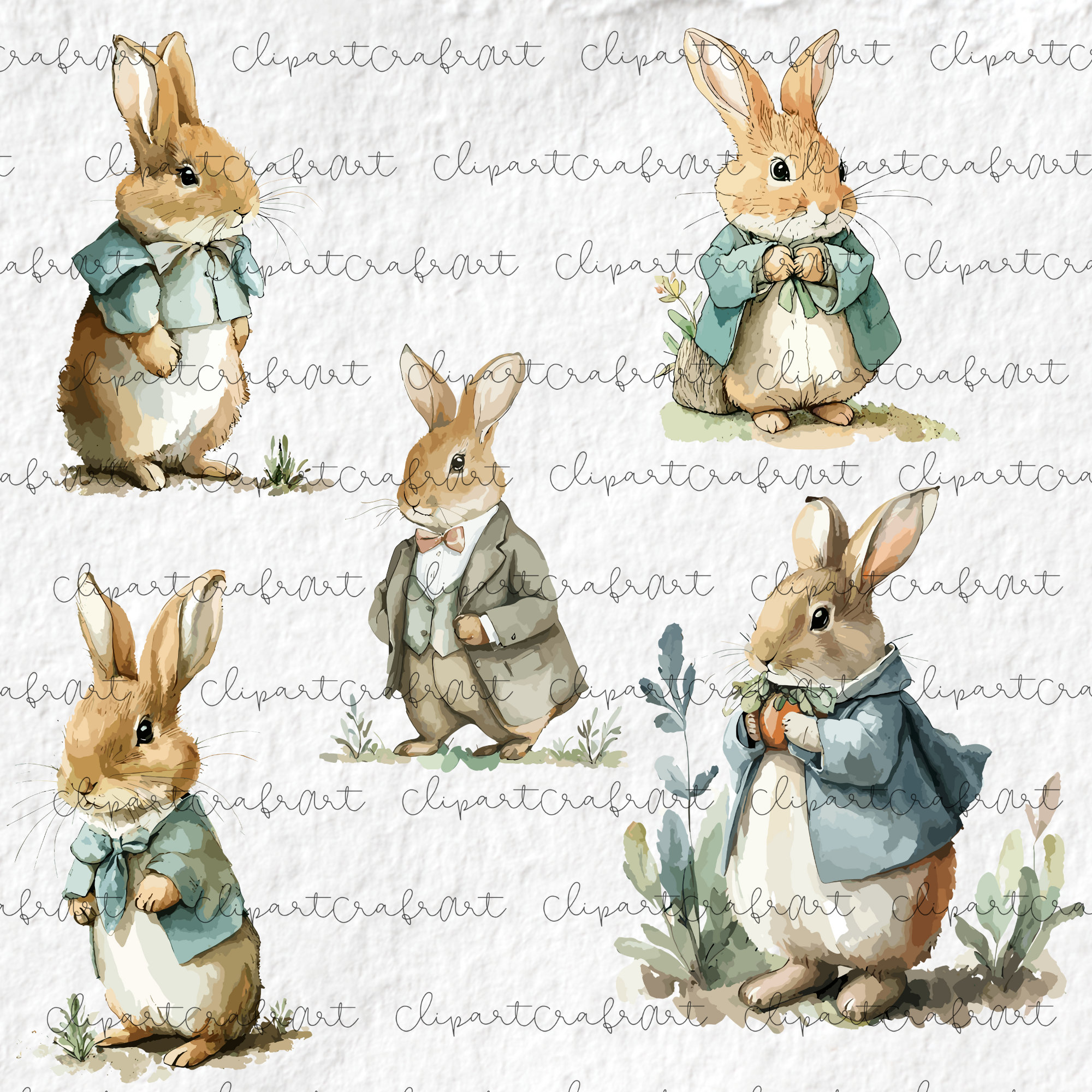 Beatrix Bunny Rabbit Clipart Cute Peter Rabbit Beatrix Bunny - Etsy