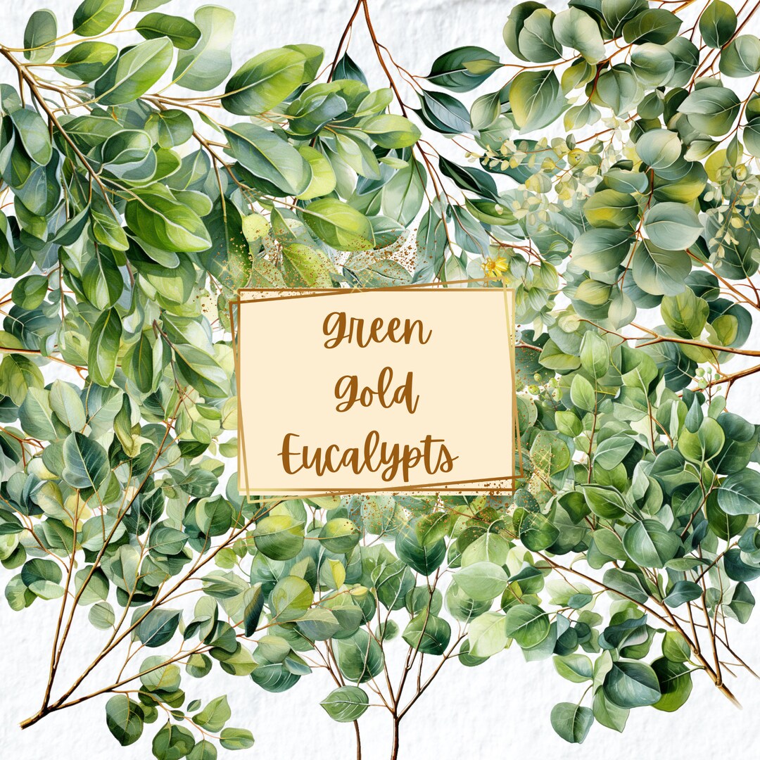 Gold Eucalyptus Clipart, Gold Green Eucalyptus Watercolor Clipart ...