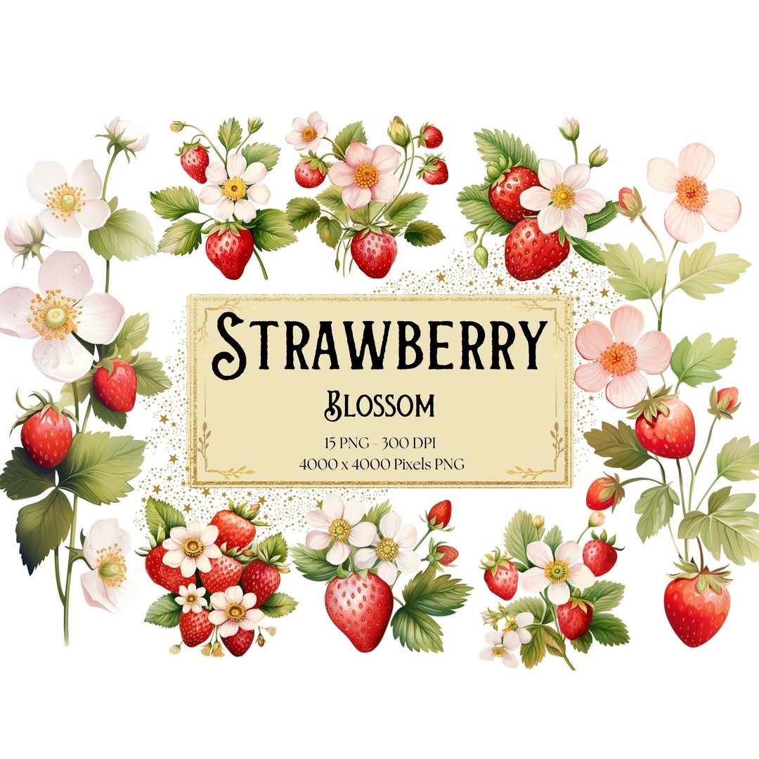 Strawberry Fruit Blossom Clipart, Strawberries Floral Clipart, Berry ...