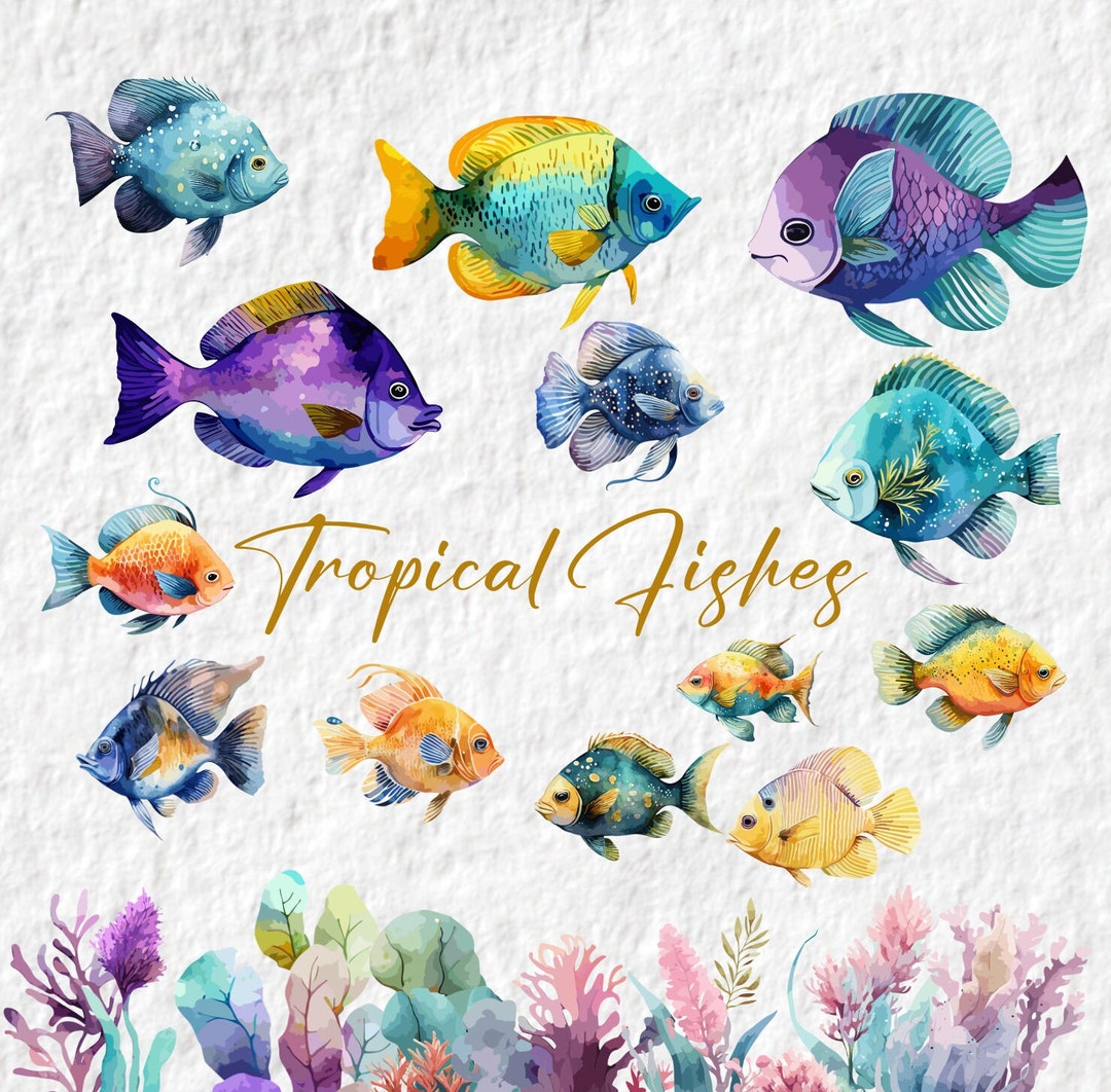 Watercolor Tropical Fish Clipart, Ocean Nursery Art (PNG) - Etsy