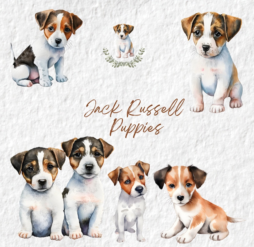 Jack Russell Dog Clipart, Jack Russell Puppy Watercolor Clipart, Little ...