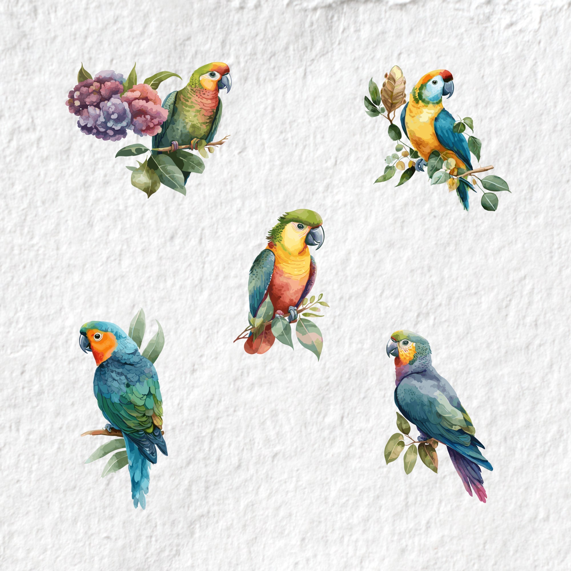 Parrots Watercolor Clipart Tropical Parrots Bird Watercolor - Etsy