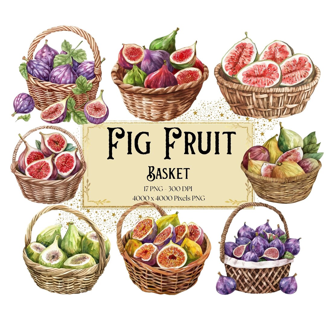 Fig Fruit Basket Clipart, Black Fig Fruit Clipart, Summer Fig Fruit ...