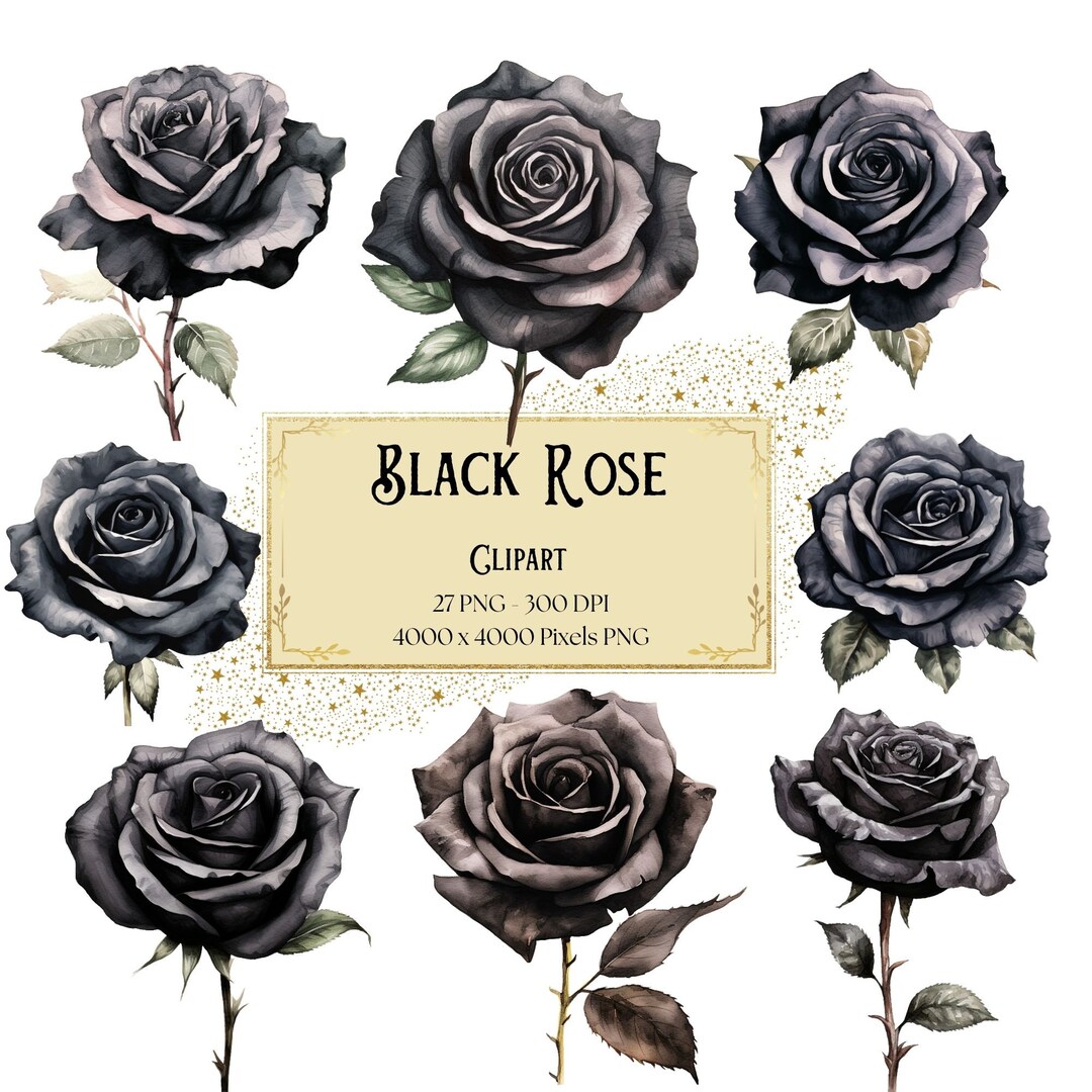 Black Rose Clipart, Black Rose Flowers Clipart, Black Roses Valentines ...