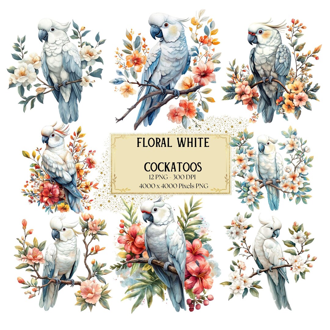 Floral White Cockatoo Bird Clipart, White Cockatoo Bird Clipart ...