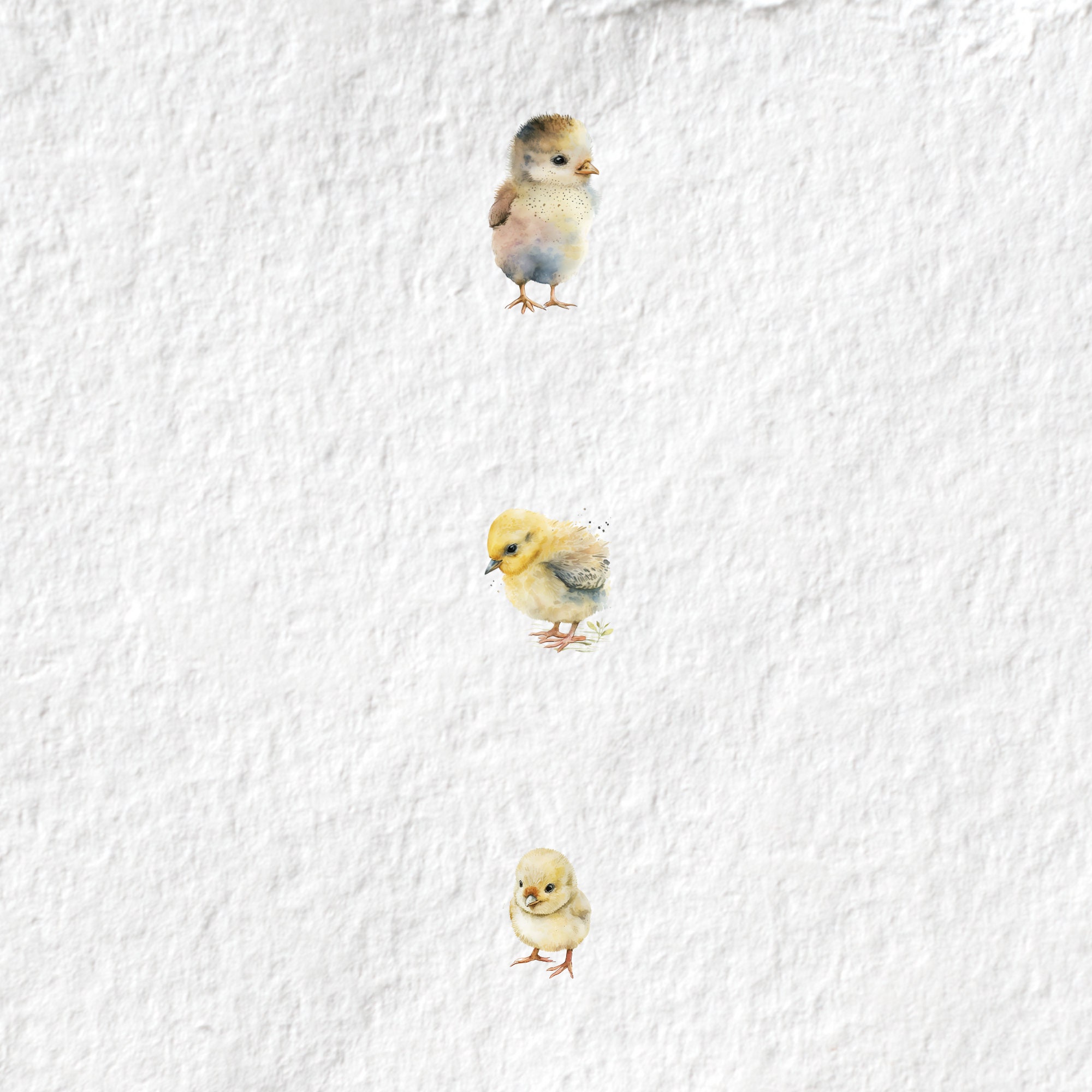 Chick Watercolor Clipart, Cute Chicken Baby Shower Graphics, Birthday ...