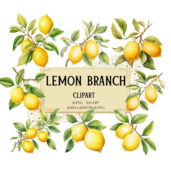 Clipart Ramo Di Limone Ramo Di Limone Vettoriali, Illustrazioni E