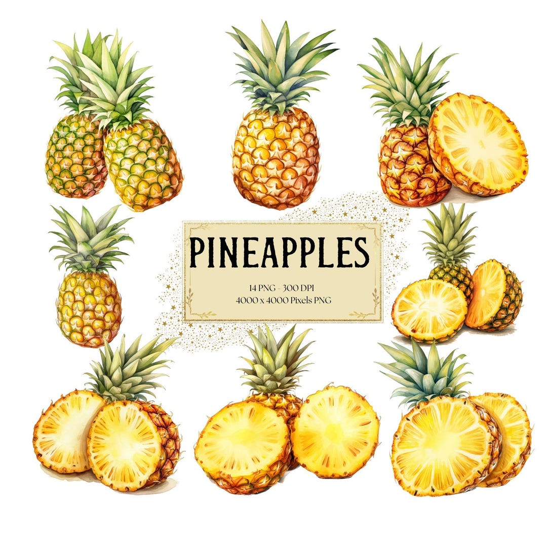 Pineapple Fruit Clipart, Pineapple Slices Fruit Clipart, Pineapple ...