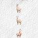 Llama Watercolor Clipart, Cute Alpaca Baby Shower Graphics, Alpaca Farm ...