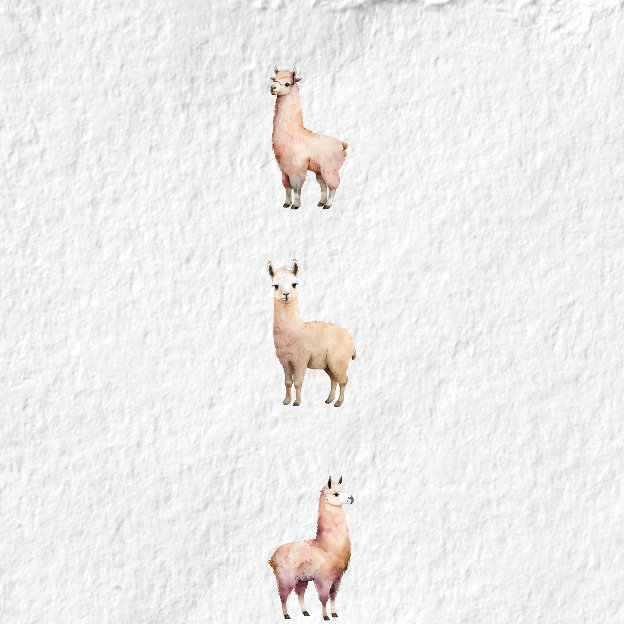 Llama Watercolor Clipart Cute Alpaca Baby Shower Graphics - Etsy