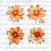 Orange Flower Png Clipart, Spring Orange Floral Clipart, Botanical ...