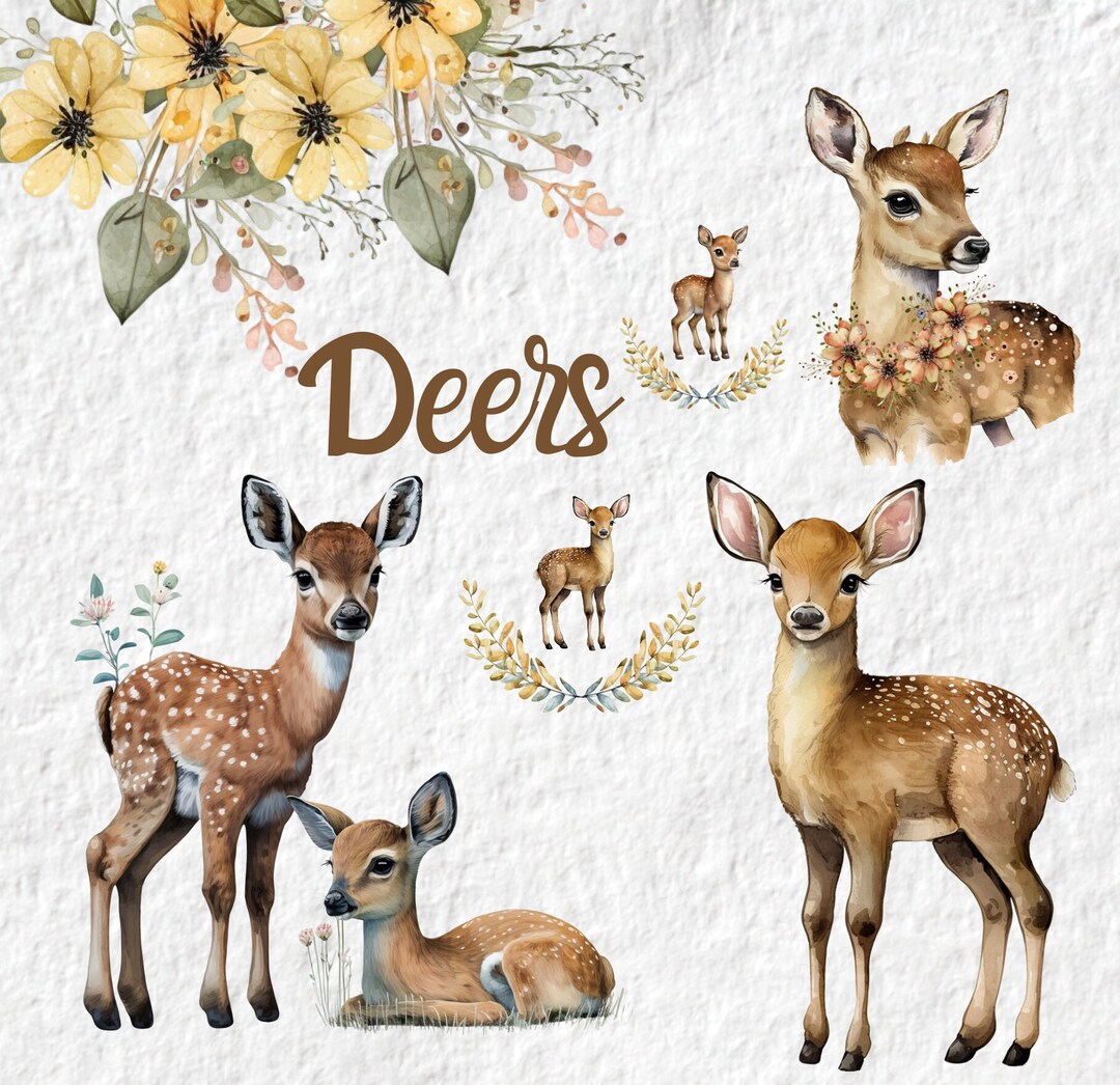 Deer Watercolor Clipart, Cute Fawn Deer Baby Shower Graphics, Nursery ...