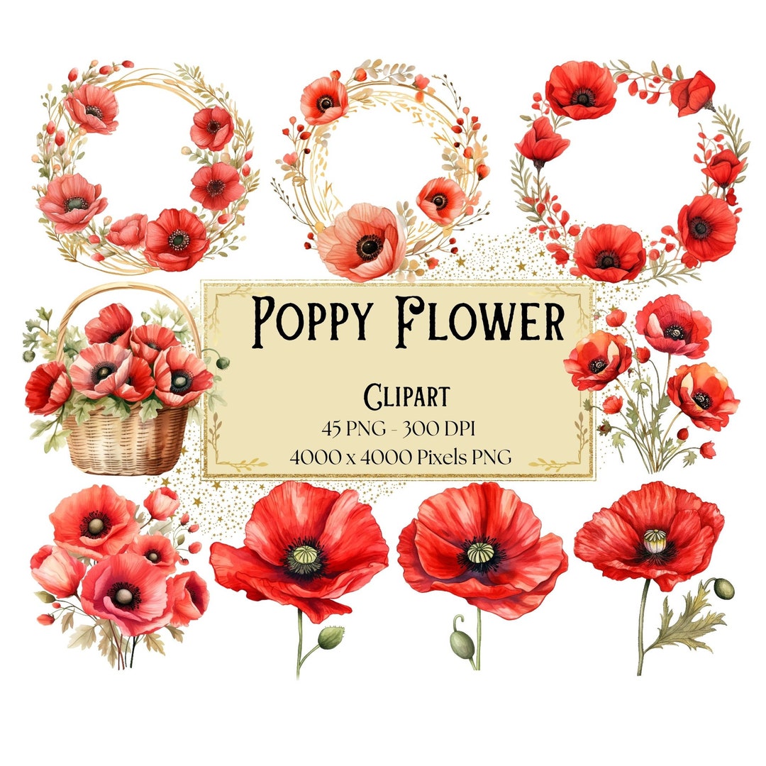 Poppy Flower Png Clipart, Red Poppy Floral Bundle Clipart, Botanical ...