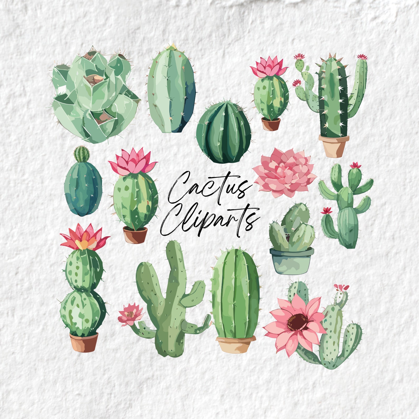 Cactus Clipart Cute Cactus Succulent Watercolor Clipart - Etsy