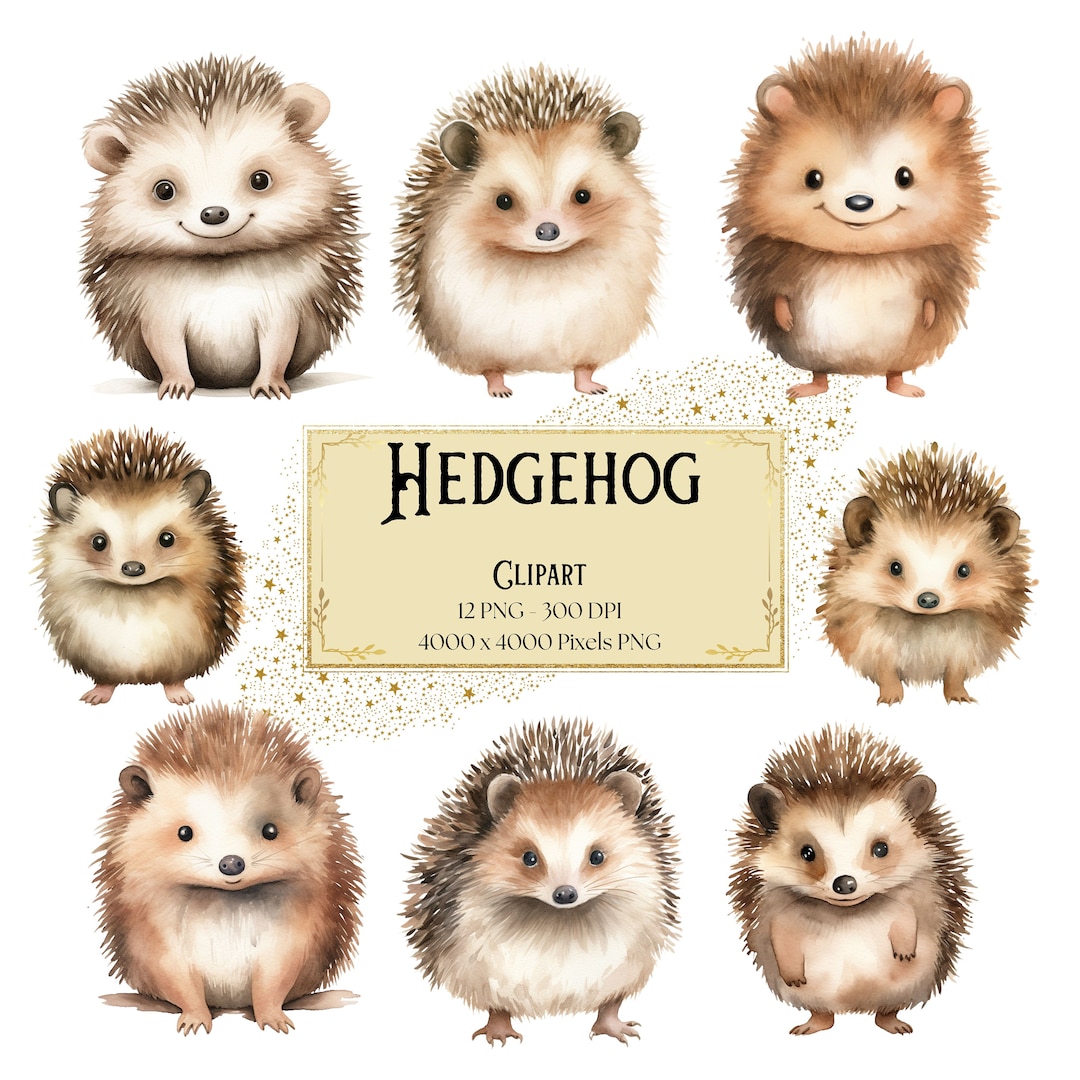 Hedgehog Clipart, Hedgehog Watercolor Clipart, Woodland Animals Clipart ...