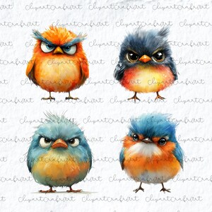 Grumpy Fluffy Bird Clipart, Grumpy Birds Bundle Clipart, Funny Birds ...