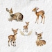 Deer Watercolor Clipart, Cute Fawn Deer Baby Shower Graphics, Nursery ...