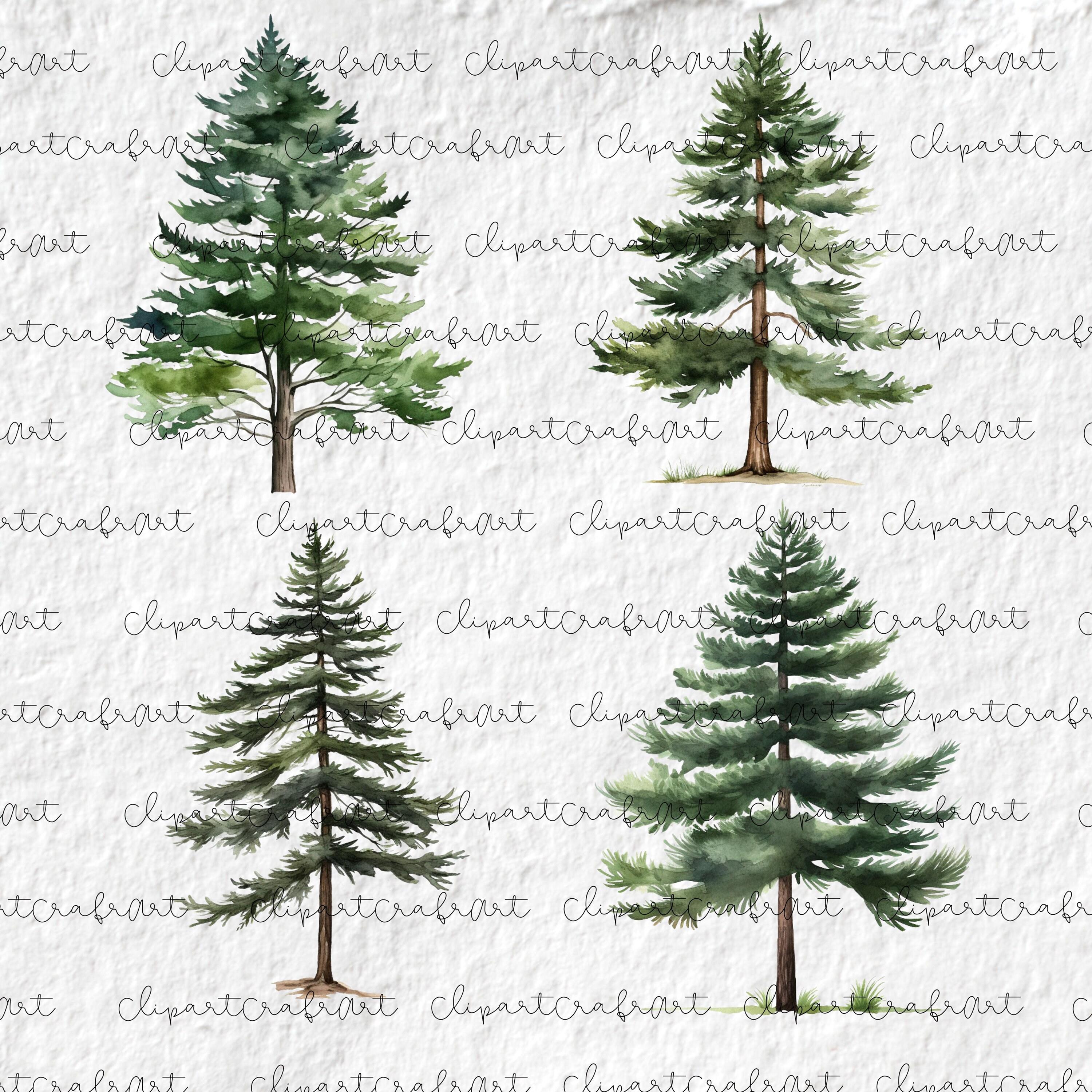 Pine Tree Clipart, Woodland Forest Trees Clipart, Pine Trees PNG ...