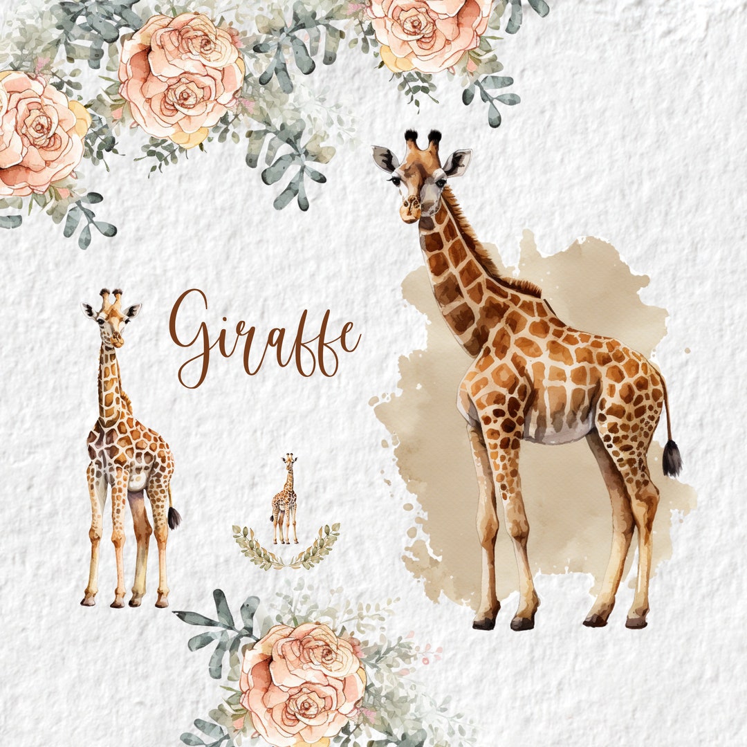 Giraffe Watercolor Clipart, Cute Baby Shower Graphics, Birthday Party ...