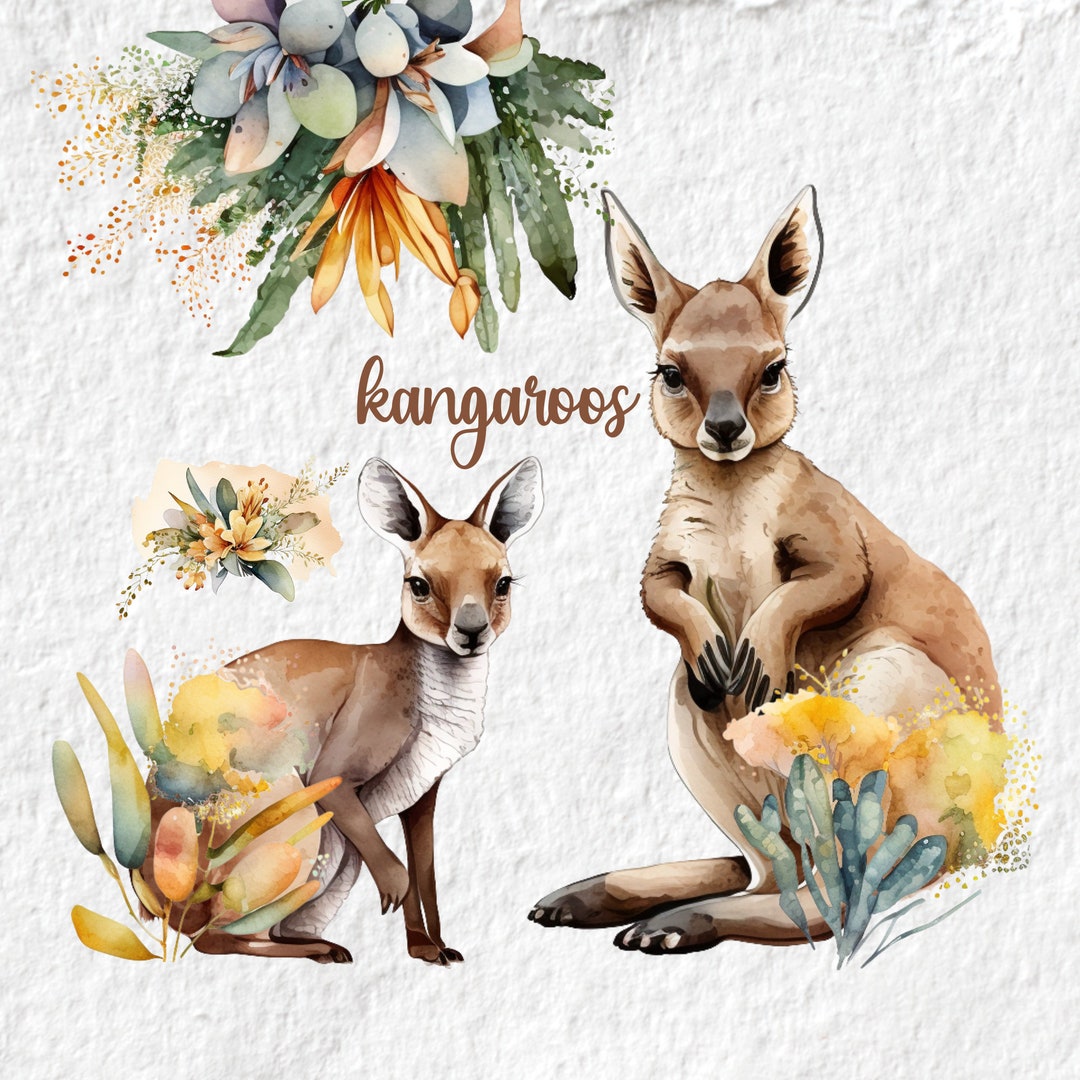 Kangaroo Clipart, Floral Kangaroo Clipart, Australian Zoo Animal PNG ...