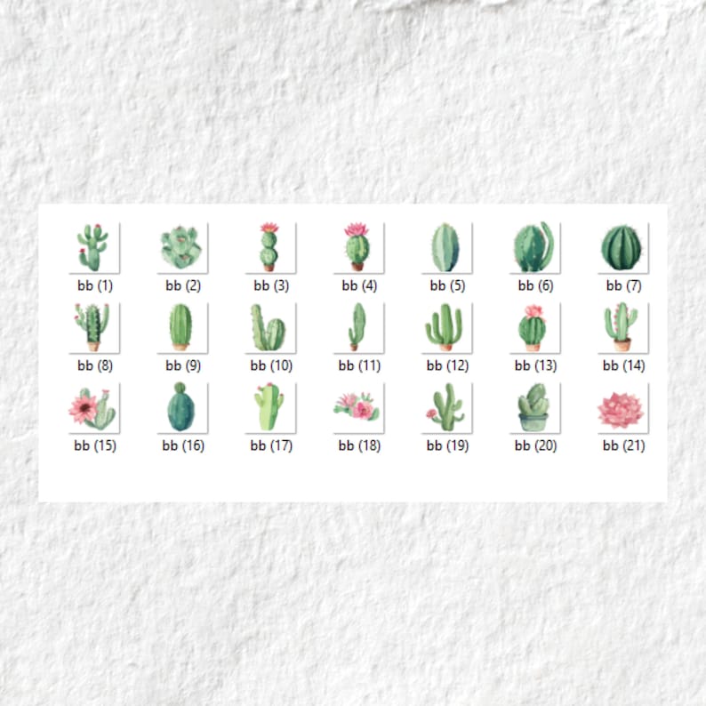 Cactus Clipart Cute Cactus Succulent Watercolor Clipart - Etsy