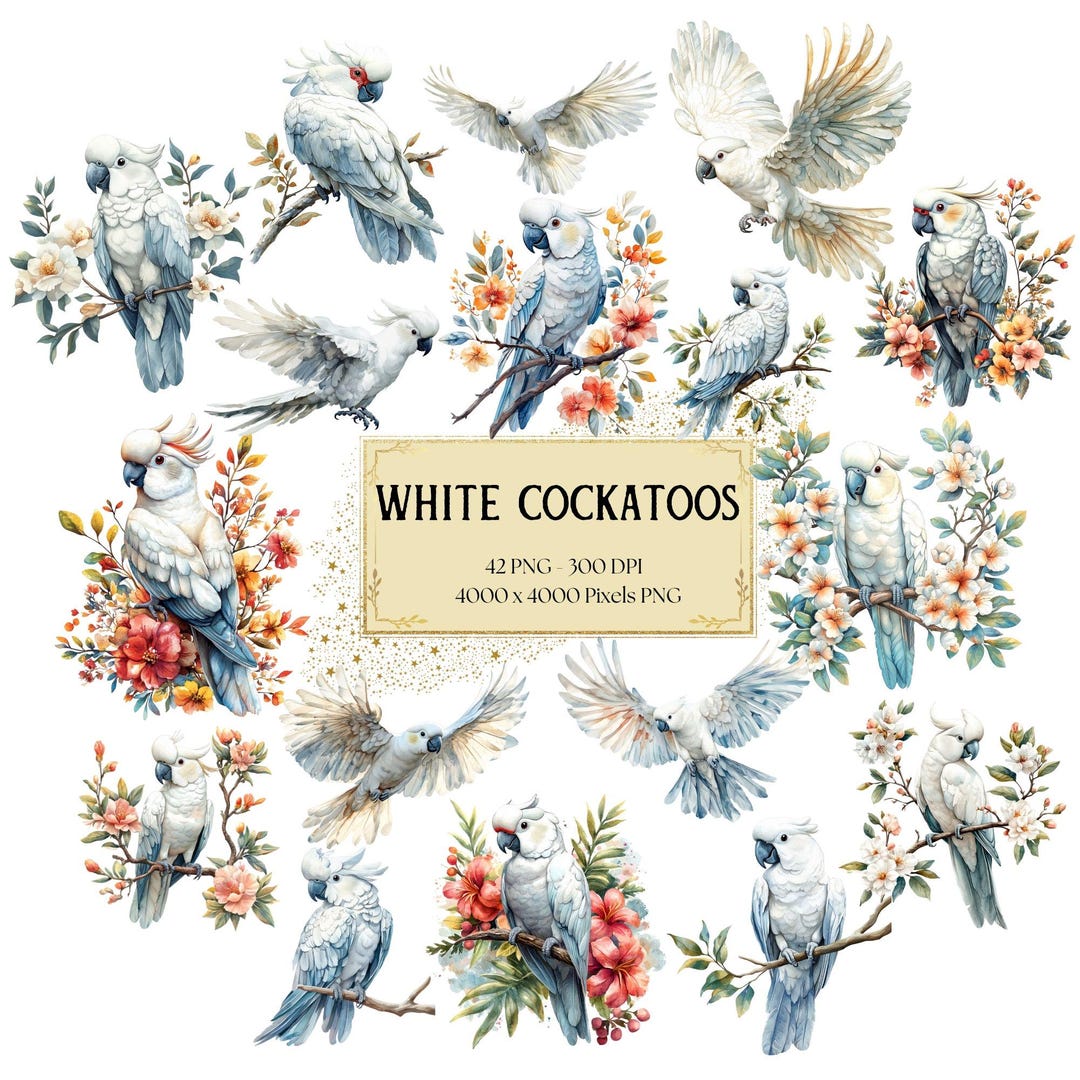 White Cockatoo Bird Clipart, Floral White Cockatoo Bird Clipart ...