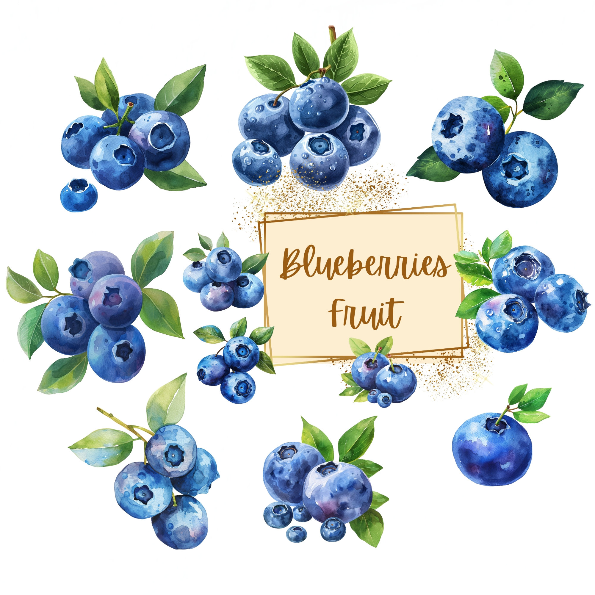 Blueberry Clipart