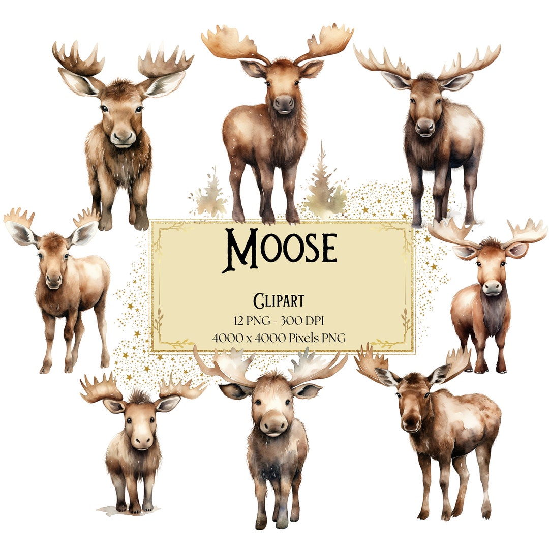 Moose Clipart, Moose Watercolor Clipart, Woodland Animals Clipart ...