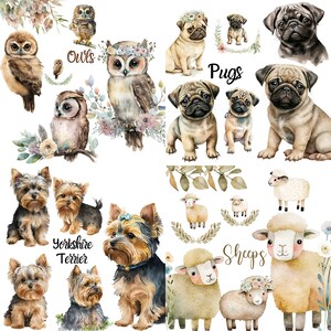590+ Animals Clipart Mega Bundle Png, Animal Clipart, Dogs, Birds, Cats ...