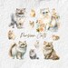Persian Cat Watercolor Clipart, Cute Persian Cat Nursery Baby Shower ...