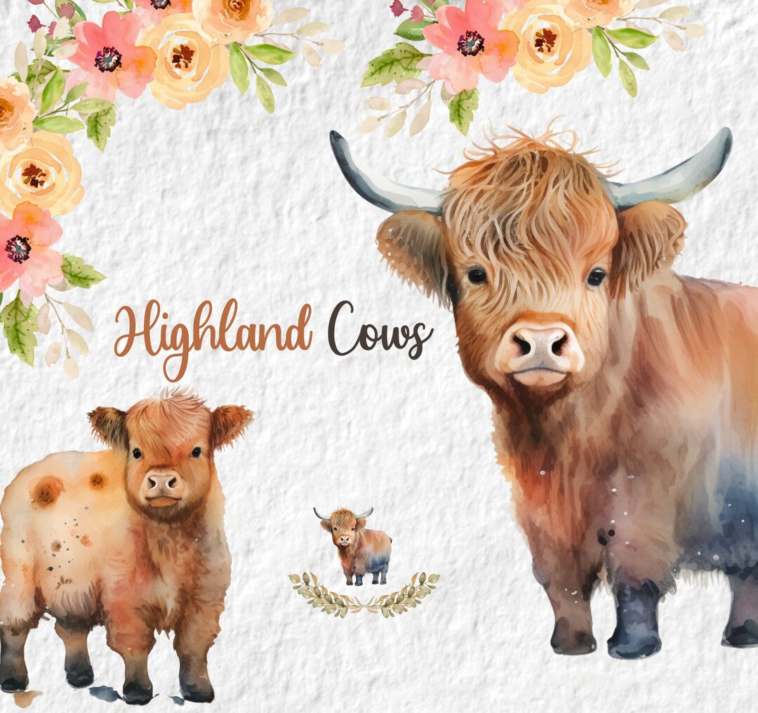Cute Highland Cow Watercolor Clipart, Cute Baby Shower Graphics ...