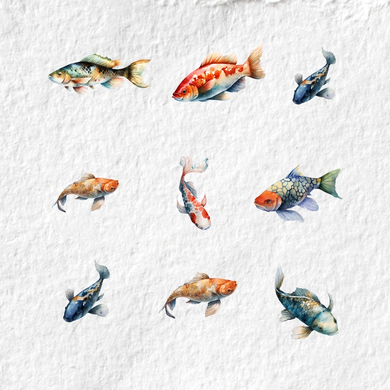 Japanese Koi Fish Watercolor Clipart Cute Koi Baby Shower - Etsy