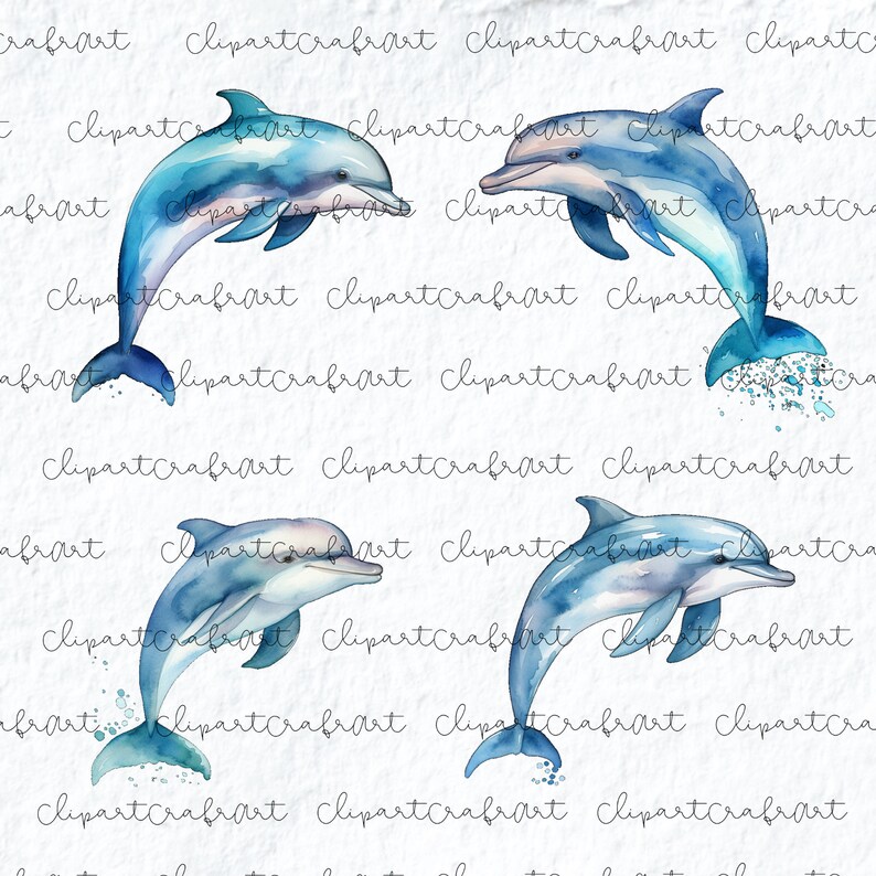 Dolphin Clipart, Dolphin Graphics Sea Life PNG, Underwater Ocean Life ...