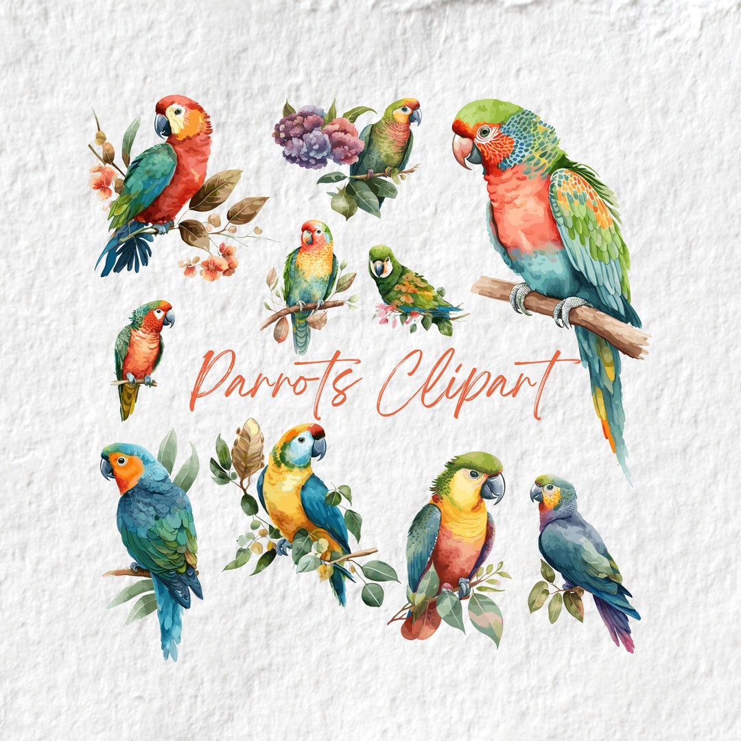 Parrots Watercolor Clipart, Tropical Parrots Bird Watercolor Graphics ...