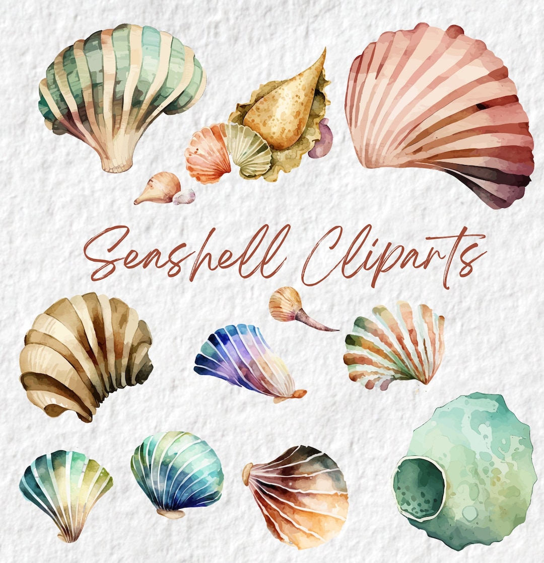 Seashell Watercolor Clipart, Cute Shell Sea Life Animal Watercolor ...