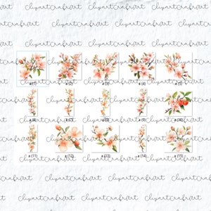 Peach Blossom Flower Png Clipart, Spring Peach Flower Clipart, Peach ...
