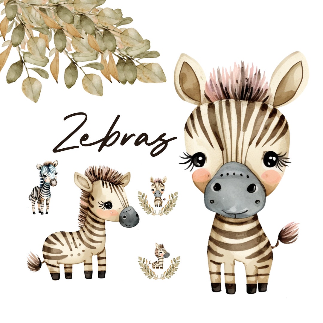 Watercolor Zebra Clipart, Safari Animal Graphics (PNG) - Etsy