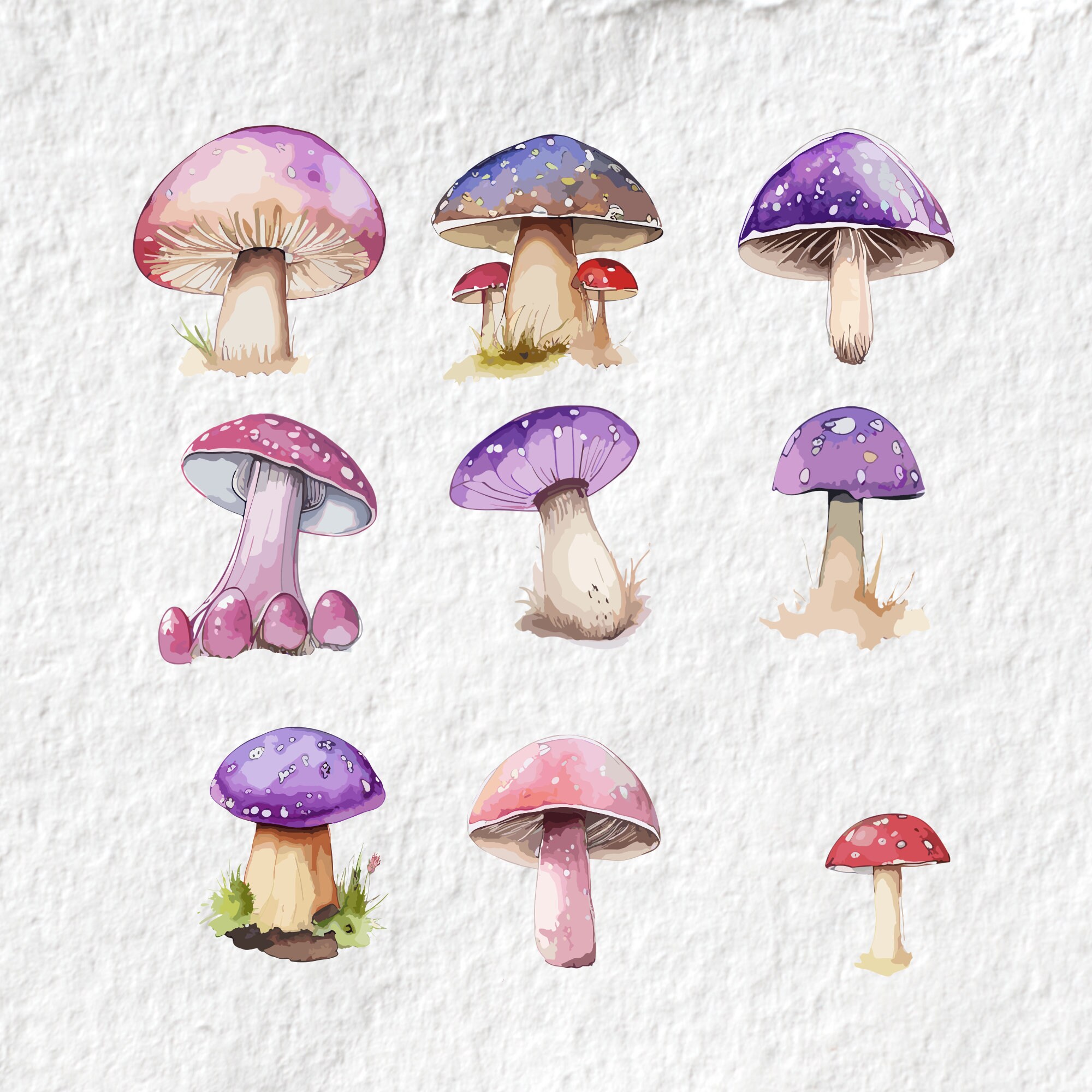 Mushroom Toadstool Forest Clipart Cute Forest Nature Fungi - Etsy