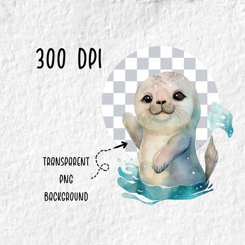 Seal Watercolor Clipart Cute Sea Life Baby Shower Graphics - Etsy