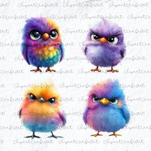 Grumpy Fluffy Bird Clipart, Grumpy Birds Bundle Clipart, Funny Birds ...