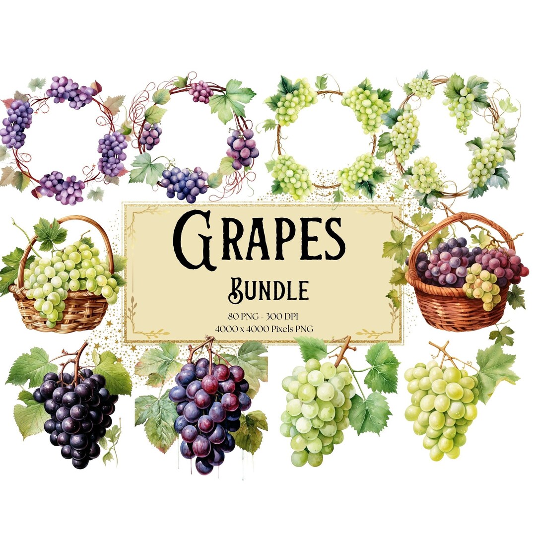 Grapes Fruit Png Clipart, Grapes Fruit Bundle Clipart, Grapes Fruit ...